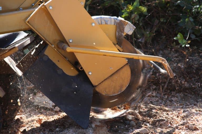 Here's How Stump Grinding Could Benefit The Environment